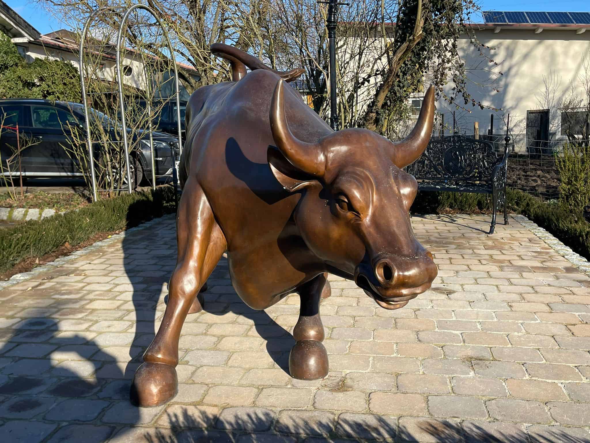 Bronze animal wallstreet look - der Faller