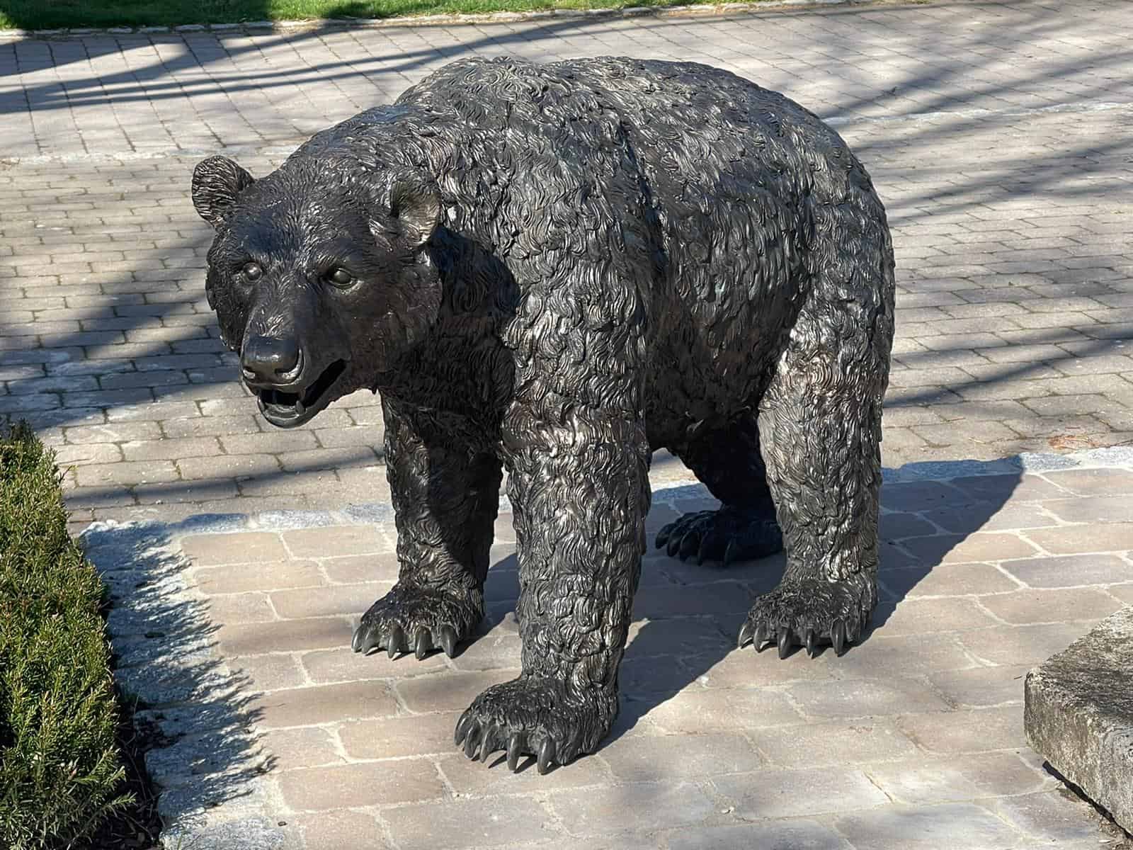 Bronze bear running - der Faller