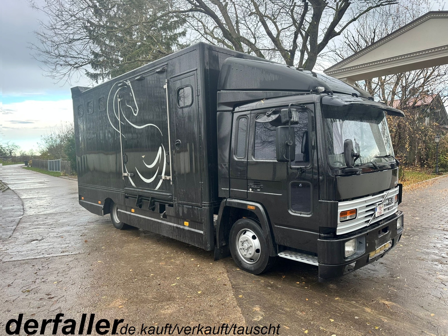 Pferdetransporter - der Faller